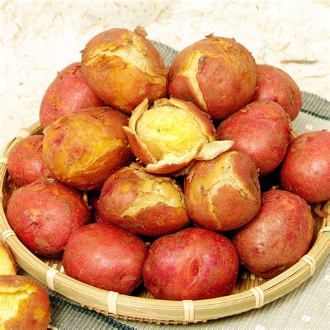 22년산 홍감자빨간감자 10kg 중 홈플러스 익스프레스