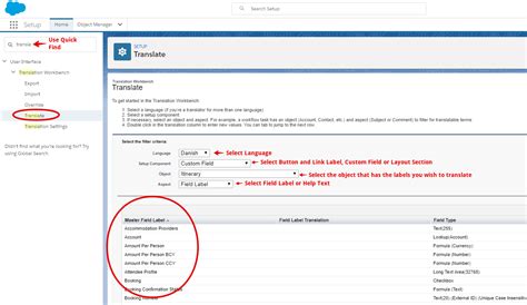 How To Translate And Customize The User Interface
