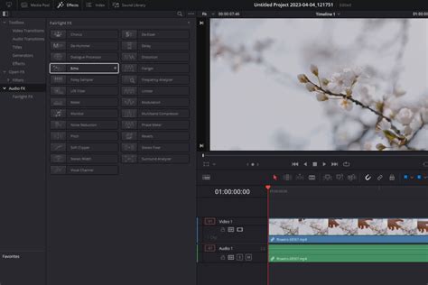 DaVinci Resolve ECHO Audio Effect Ways