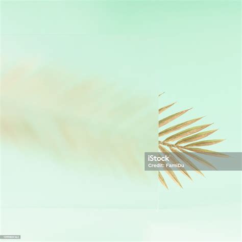 파스텔 녹색 배경에 황금 야자 잎과 서리가 내린 유리로 만든 창조적 인 배열 최소한의 여름 개념 공간을 복사합니다 개념에 대한