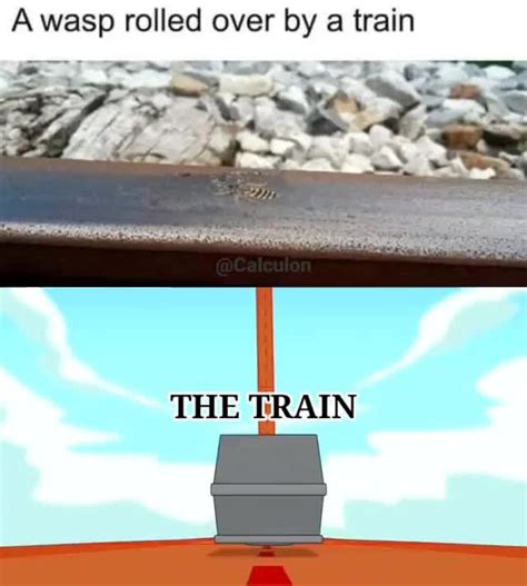Wasp Rolled Over By A Train Sex The Train Ifunny