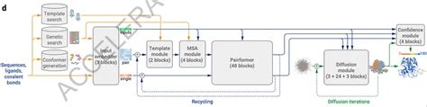 alphafold3及其与alphafold2相比的改进 智源社区
