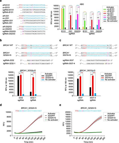 Cdetection Crispr Cas12b Based Dna Detection With Sub Attomolar Sensitivity And Single Base