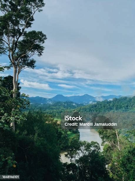 Pemandangan Lanskap Hutan Hujan Tropis Dilihat Dari Ketinggian Bukit Kecamatan Sapabriken