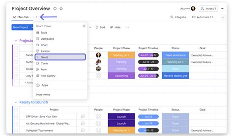 The Gantt Chart View And Widget Support