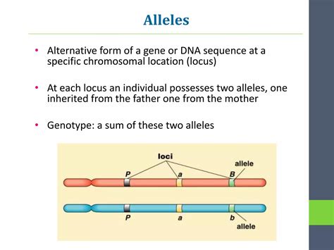 Snps Analysis Methods Pptx