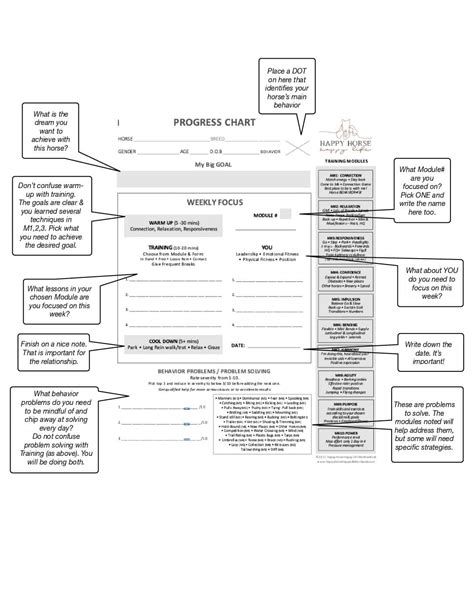 Progresschartinstructions Happy Horse Training Curriculum