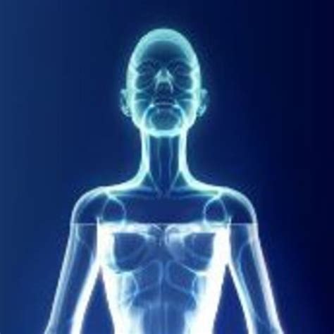 Abaqus Simulation Error In Mass Diffusion Analysis Researchgate