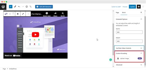 How To Embed YouTube Videos In WordPress