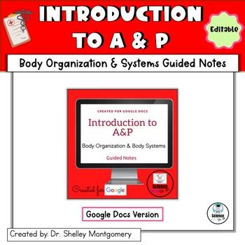 Anatomy And Physiology Unit Organization Body Systems Slides Notes BUNDLE