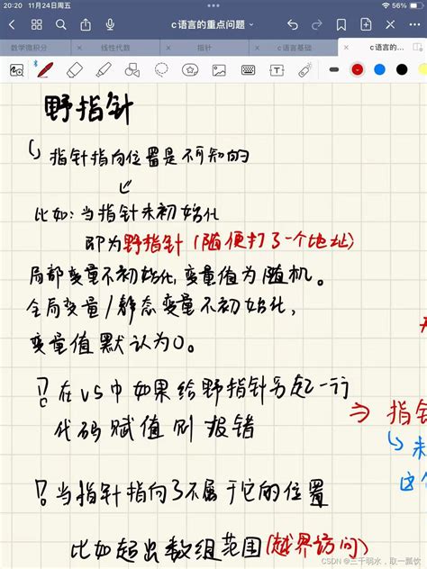 野指针详解 Csdn博客