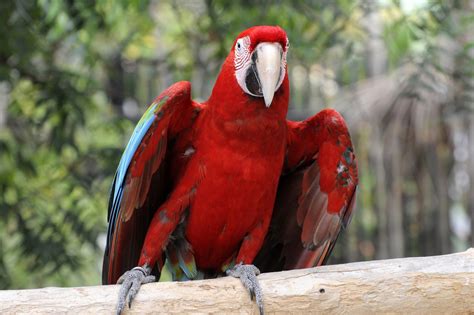 Animals From The Caribbean Temple Researchers Discover 35 New Species