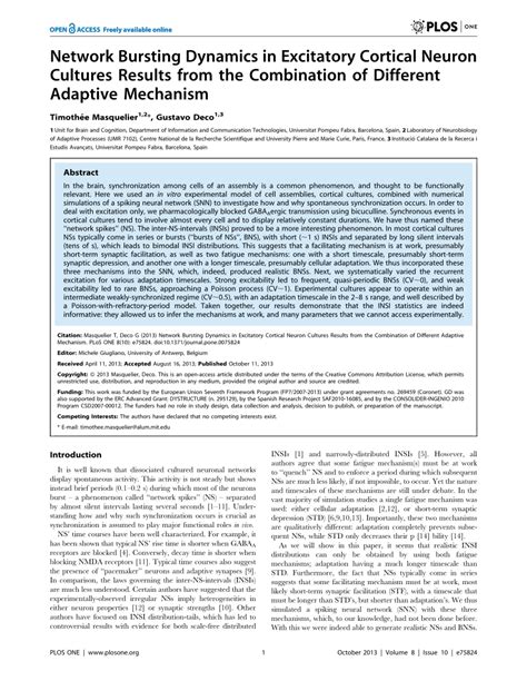 Pdf Network Bursting Dynamics In Excitatory Cortical Neuron Cultures