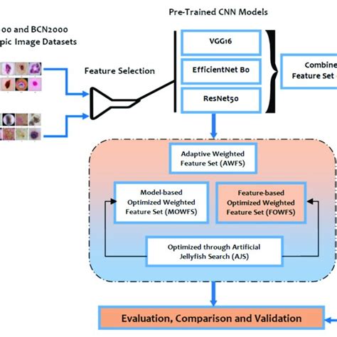 Vgg16 Efficientnet B0 And Resnet 50 Pre Trained Networks