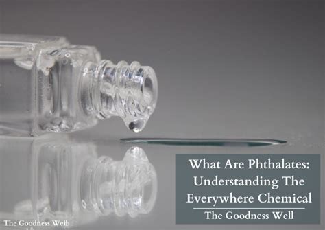 What Are Phthalates Understanding The Everywhere Chemical The Goodness Well