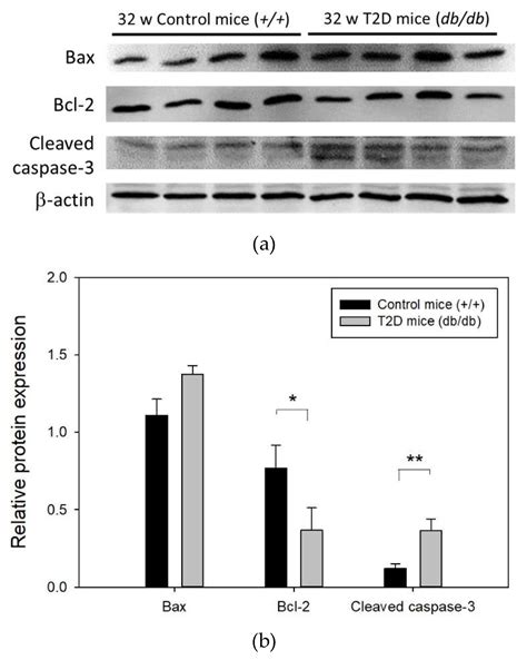 loss of response gene to complement 32 rgc 32 in diabetic mouse