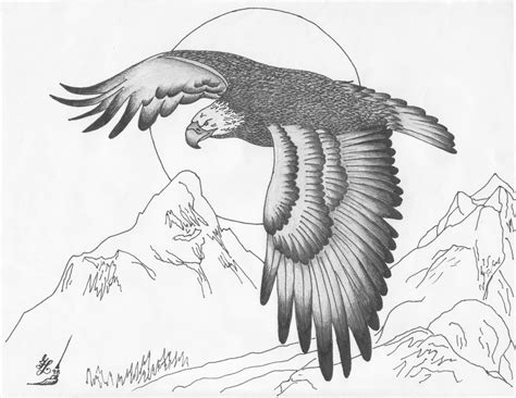 Eagle Drawing Images At Getdrawings Free Download