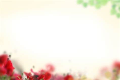 Image Of Painted Flowers Overlay PNG FREE PHOTO