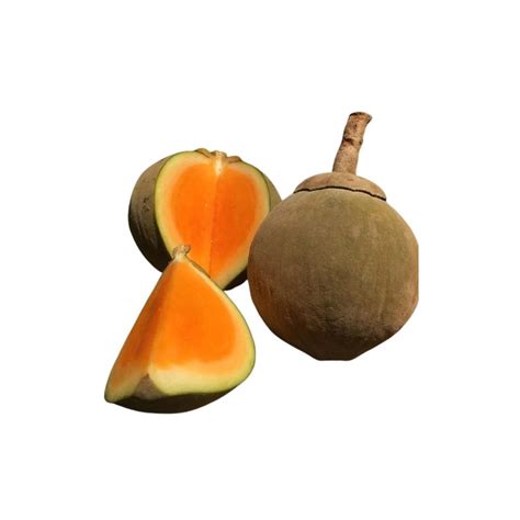 Venta De Mamey Zapote Online ¡mejor Precio Frutas Charito Madrid