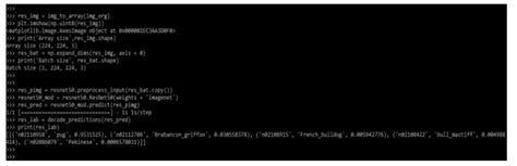 Keras ResNet Image File Handling And Transfer Learning