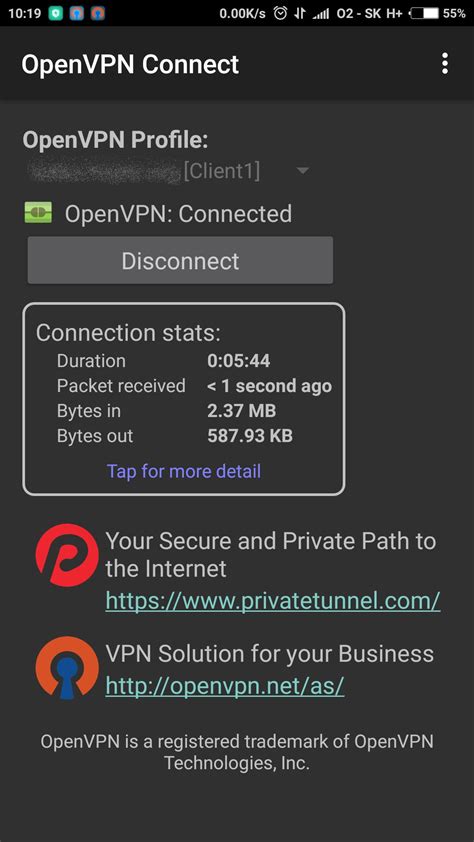 OpenVPN Connected ITBlogSec