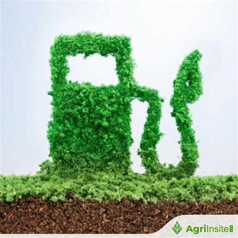 Indias Ethanol Production Capacity Reaches 1 685 Crore Liters Agriinsite