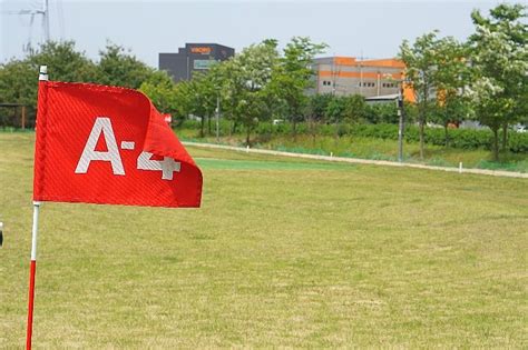 국산 파크골프채 가격과 위너 파크골프채 추천 이유 네이버 블로그
