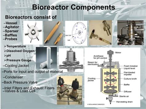 Bioreactor On Bioprocess Engineering Ppt