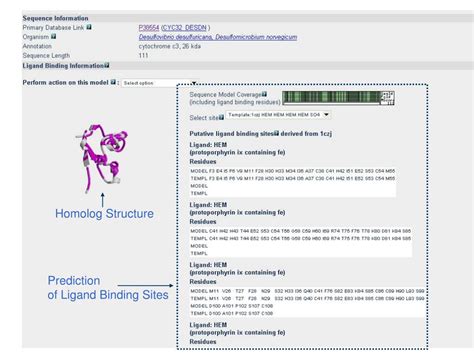 Ppt Protein Structure Database Introduction Powerpoint Presentation