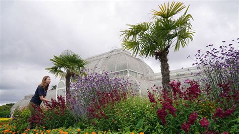 Half Of Plant Species At Risk Of Extinction Says New Report Cgtn