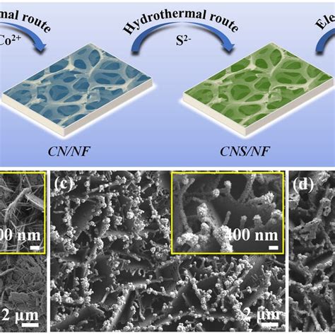 A Schematic Elucidation For The Synthesis Of Cnsldhnf Bd Sem Image