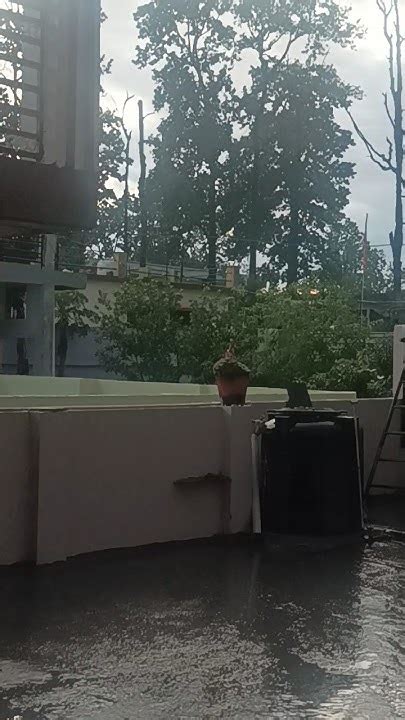 69 100days 100dayschallenge shortvideos trending new nature youtube