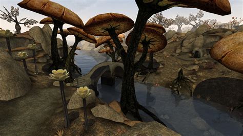 Morrowind Graphics Mod Medium Pc Sageluli