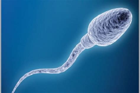 What does sperm taste like? Bitter, salty or sour? | Vinmec