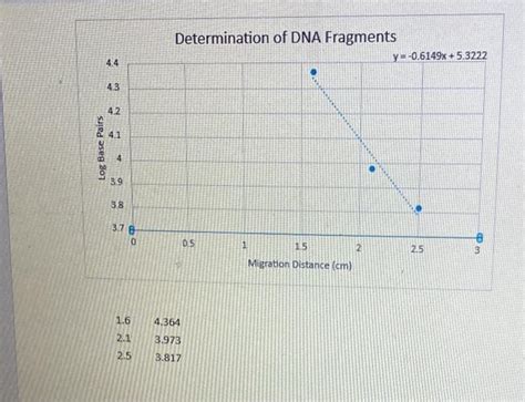 Determine Unknown 1 And Unknown 2 Dna Fragment Sizes