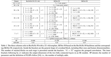Selective Kernel Networks · Issue 232 · Chullhwan Songreading Paper · Github