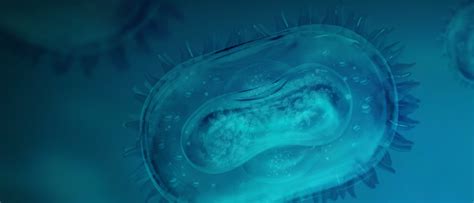 Varíola Dos Macacos Mpox Aliva