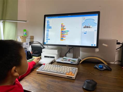 My Lovely Son Is Fascinated By Scratch Today He Studied The Kitten