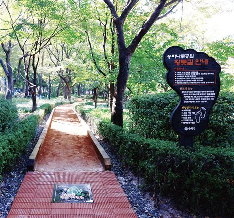 송파 도시의 발견 송파구의 다양한 맨발걷기 길을 걸어보세요~ 송파소식