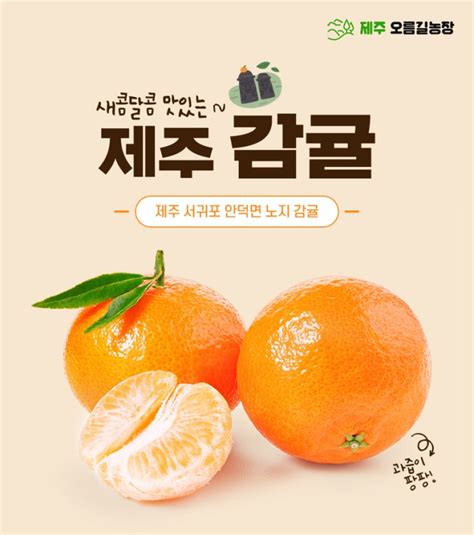 스마트스토어 제주 감귤 상세페이지 제작 음식 광고 음식 포스터 웹디자인