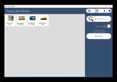 Duplicate Media Download And Review