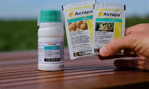 Актара для огурцов: эффективность защиты, особенности инсектицида, как ...