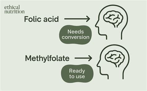 Methylfolate And Depression Ethical Nutrition