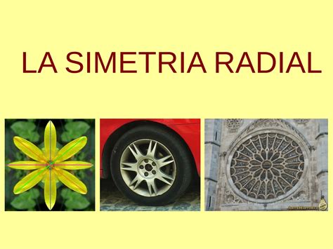 Simetria Radial Odp