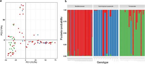 Plot Of The First Two Principal Components A And Structure Like Plot Of