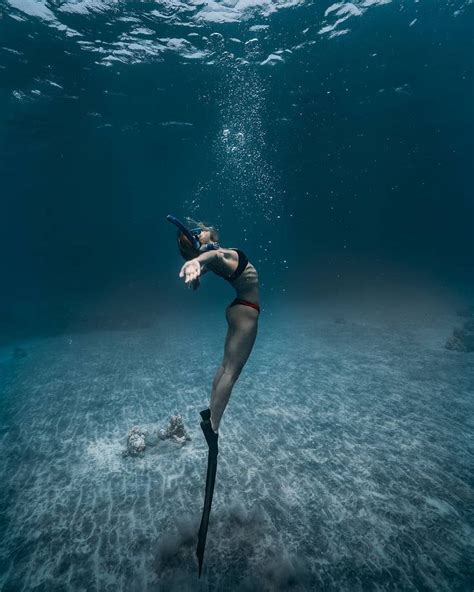 The Big Blue Astonishing Underwater And Freediving Photography By