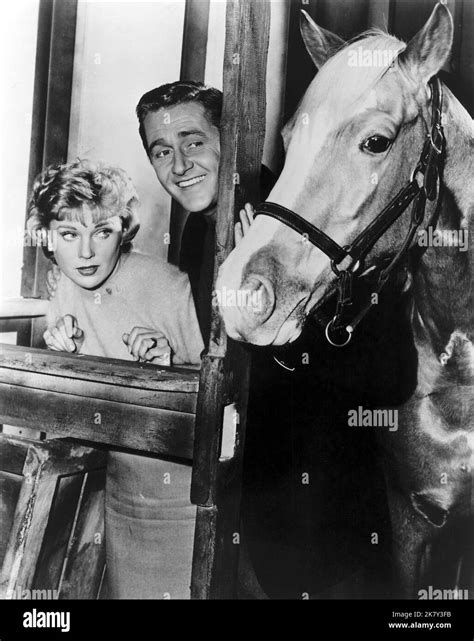 Connie Hines Mister Ed Alan Young As Carol Post Black And White Stock