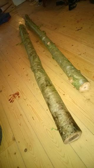 Rowan Flat Bow Paleoplanet