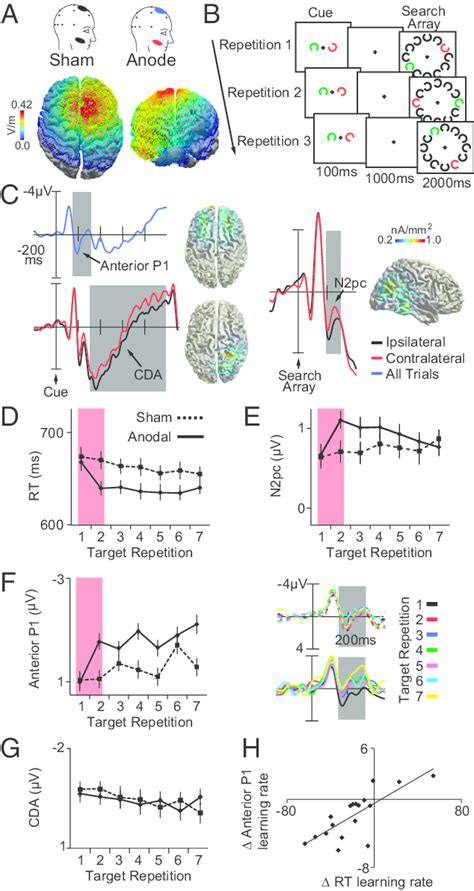 Tdcs Model Task And Results Of Experiment 1 A Modeled Distribution