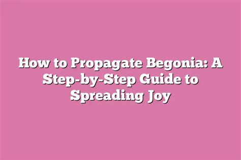 How To Propagate Begonia A Step By Step Guide To Spreading Joy Flower Pursuits